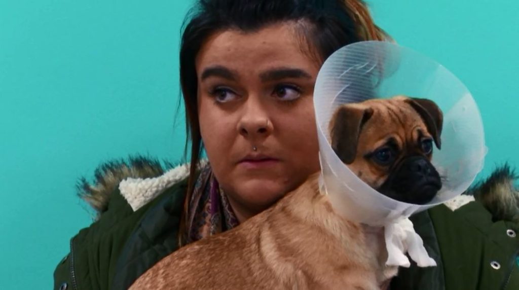 The Supervet Nala - The Supervet