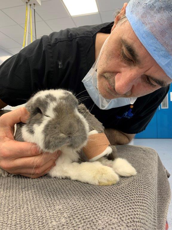 The Supervet Locky - The Supervet